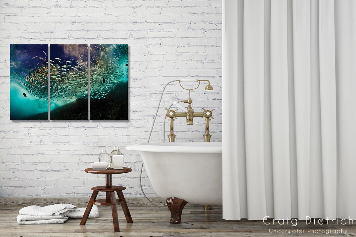 COOL SCHOOL TRIPTYCH, Oceans and Africa ~ Craig Dietrich Photography